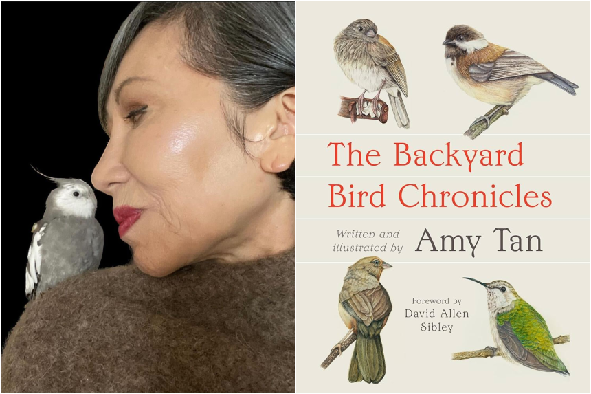 In Trump’s racist America, The Joy Luck Club’s Amy Tan turns to ...