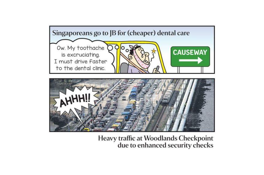 A Cartoonist’s View: Lee Chee Chew, May 26, 2024 | The Straits Times