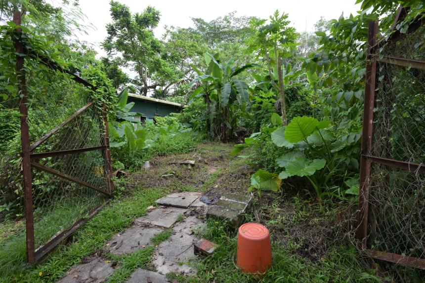 Acres gets OK to use previously poisoned land, eyes bigger animal ...