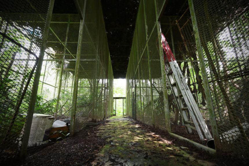 Acres gets OK to use previously poisoned land, eyes bigger animal ...