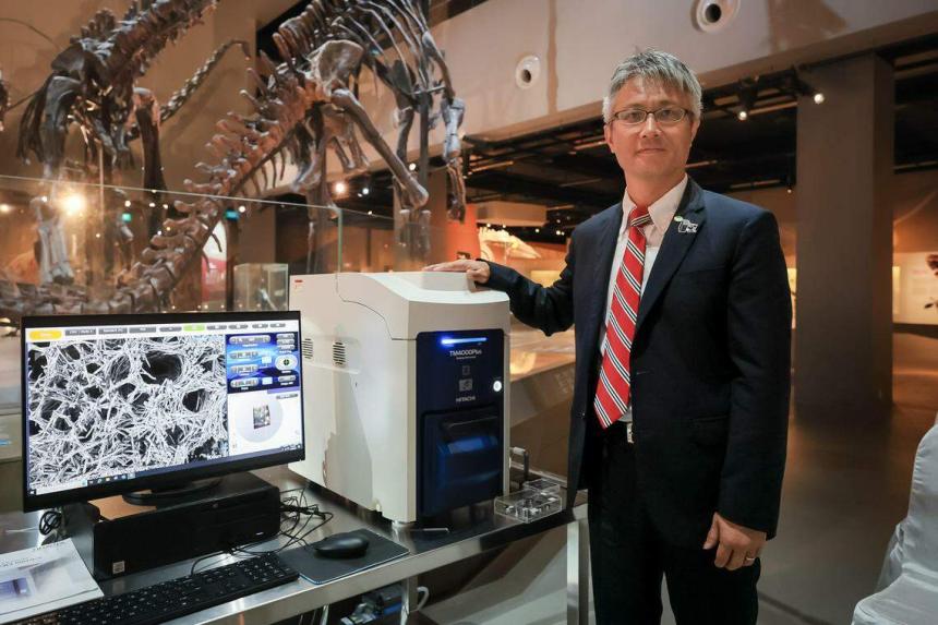 New exhibition at Lee Kong Chian Natural History Museum takes creative look at nature | The ...