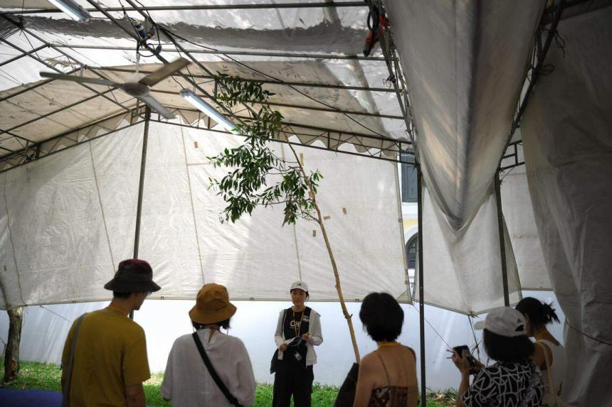 Moving into ‘unconducive’ spaces: Local arts scene ventures into ...