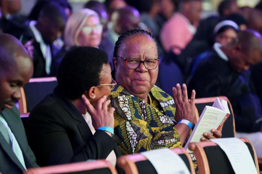 South Africa's president urges unity as ANC support plunges | The Straits Times