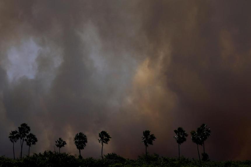 Fires in Brazil wetlands surge to record start in 2024 | The Straits Times