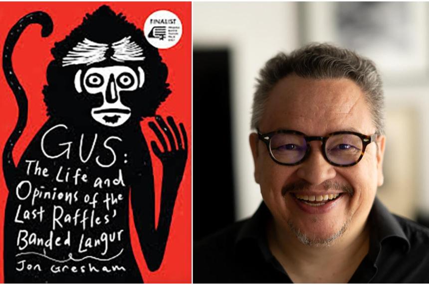 Book review: Thrilling tale of talking monkeys and primate warfare in Jon Gresham’s Gus | The ...