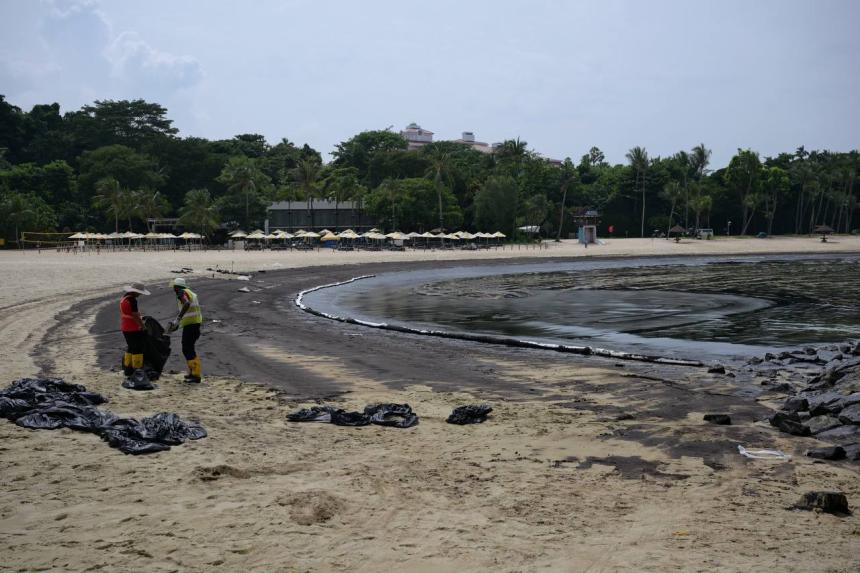 Cleanup under way after oil slicks hit East Coast, Labrador Park ...
