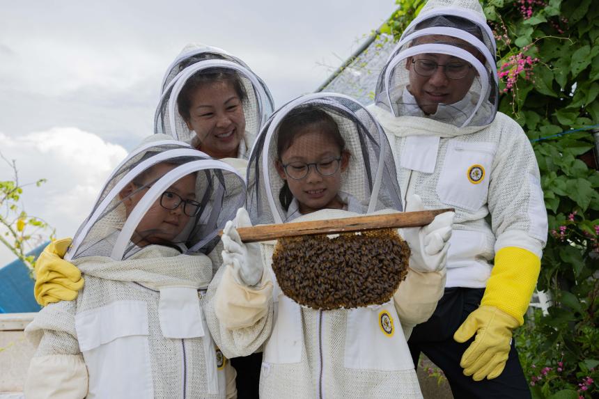 ST subscribers and their kids become beekeepers for the day at bee workshop | The Straits Times