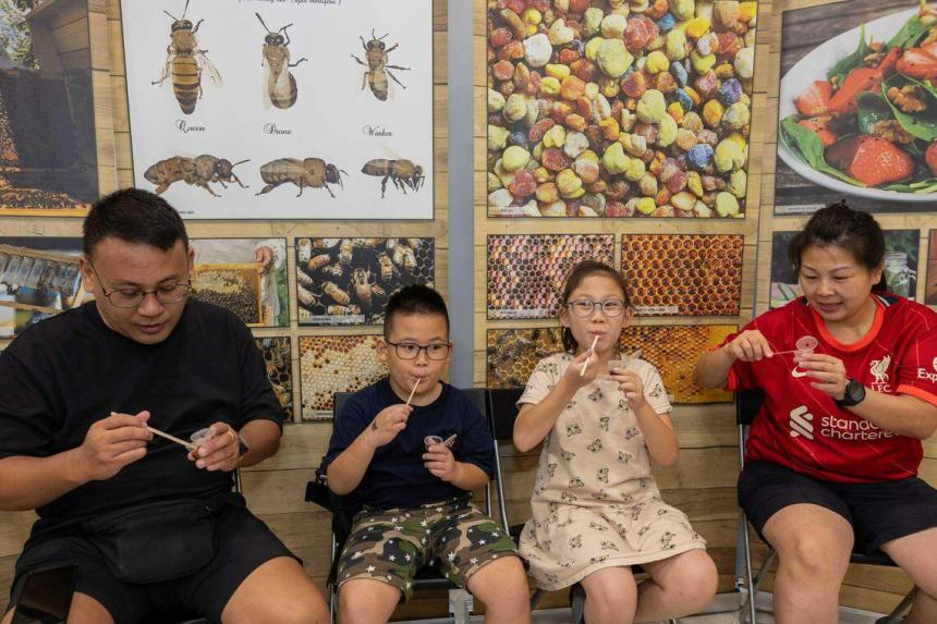 ST subscribers and their kids become beekeepers for the day at bee workshop | The Straits Times