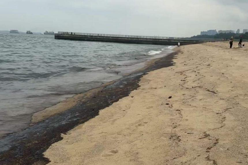 Cleanup under way after oil slicks hit East Coast, Labrador Park ...