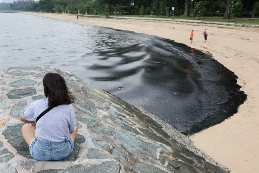 Cleanup under way after oil slicks hit East Coast, Labrador Park ...