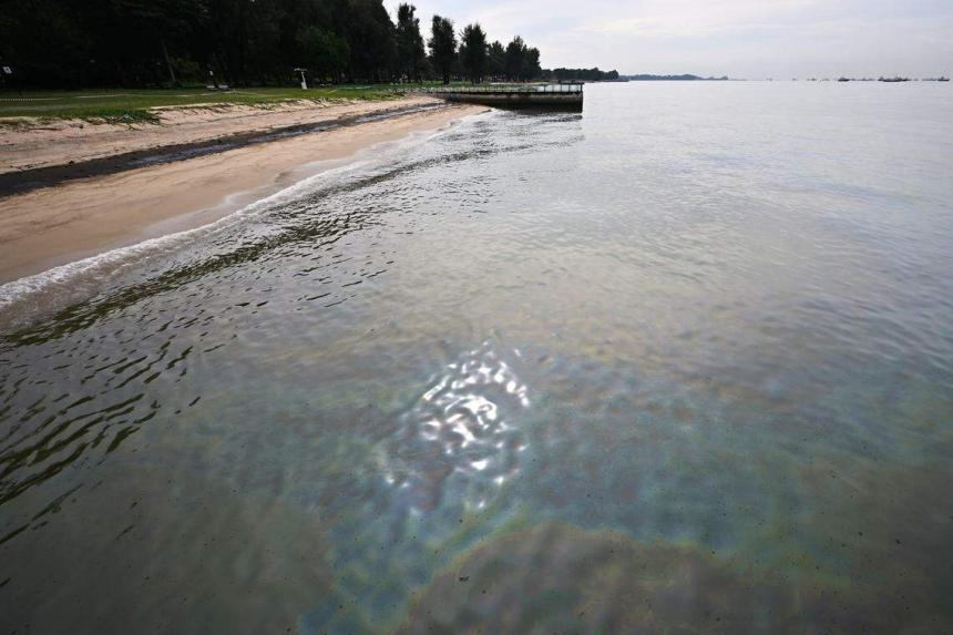 Beachfront shops at Sentosa, East Coast Park face thinner crowds after ...