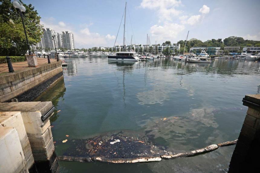 Oil spill incident: Singapore expands clean-up effort to more areas ...