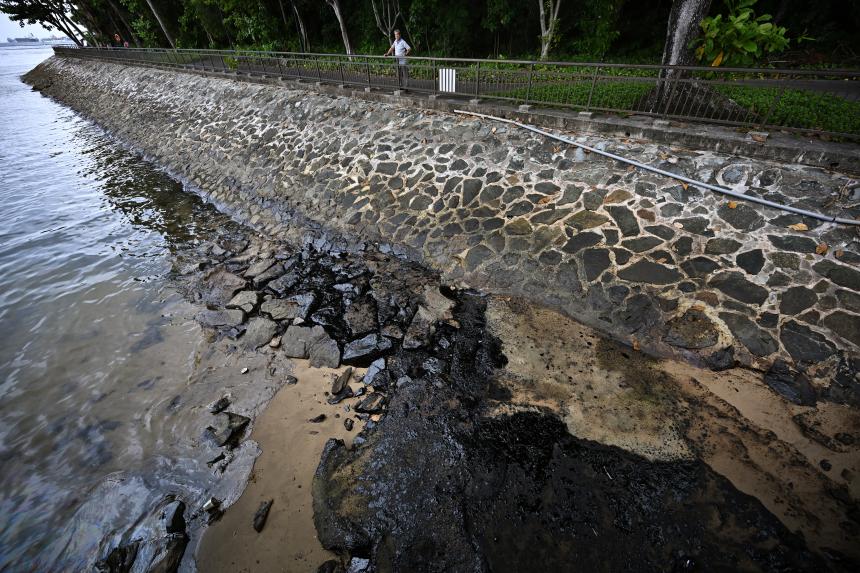 MPA responded within 11 minutes of being alerted to oil spill, cleanup ...