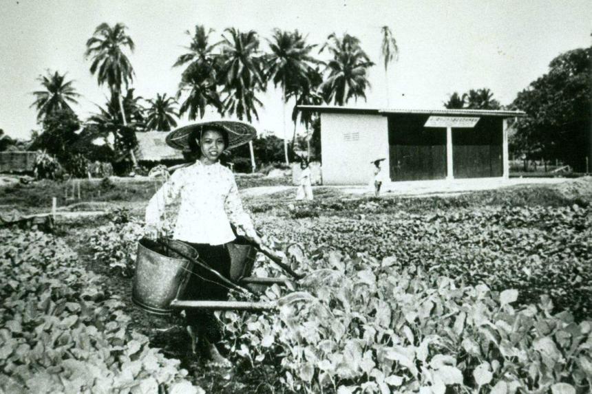 Fish, crop kings and a fleet that never arrived: Five stories from ...