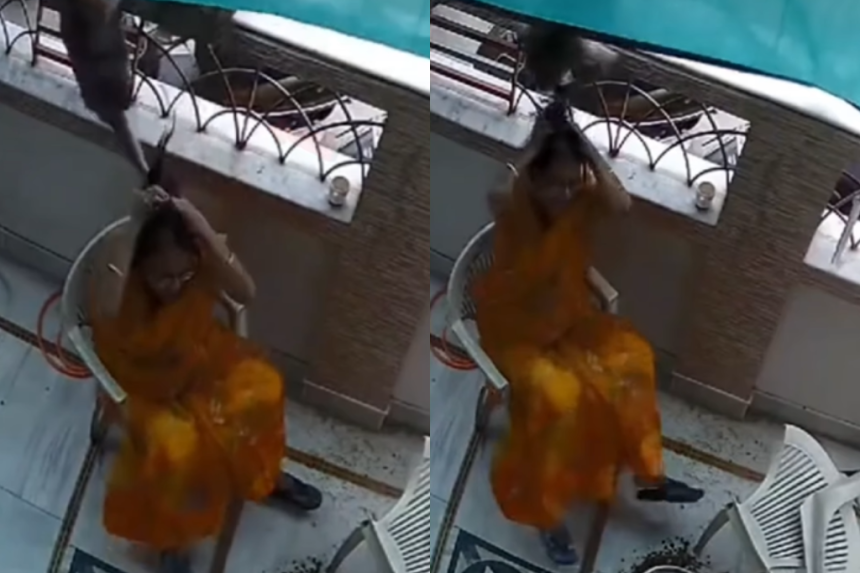 Two monkeys in India seen pulling violently at woman’s hair in viral ...