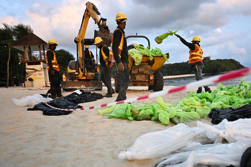 Over 71,000kg of oil-soaked sand scooped up at Sentosa’s beaches ...