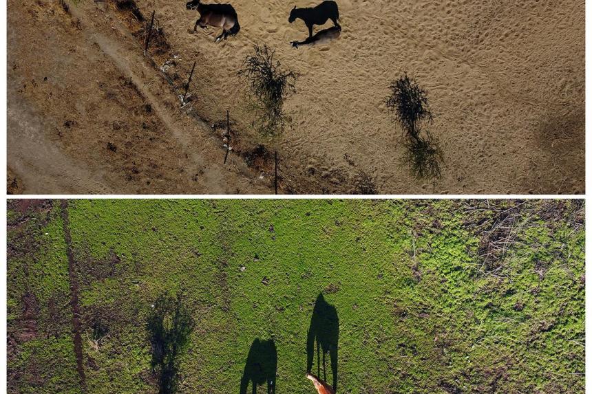Drought-hit lakes in Chile come back to life after downpours | The ...