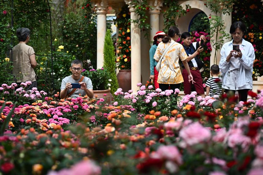 Insta-official: Gardens by the Bay crowned world’s most photographed ...