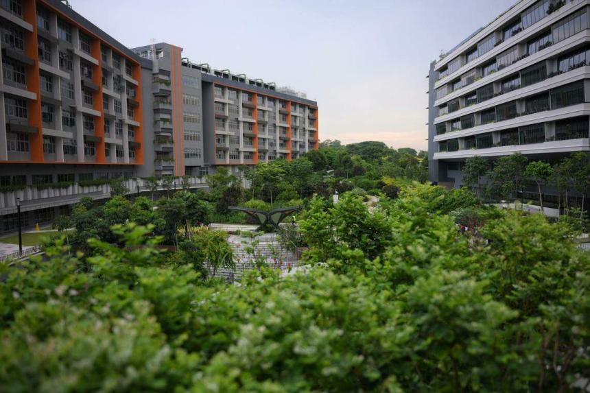 Opening of Woodlands Health eases load of other hospitals, including ...