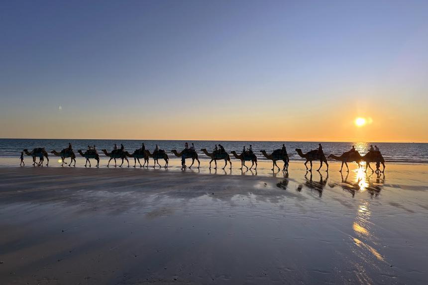 Pearls, camels and dinosaur footprints: Things to do in Broome, with ...