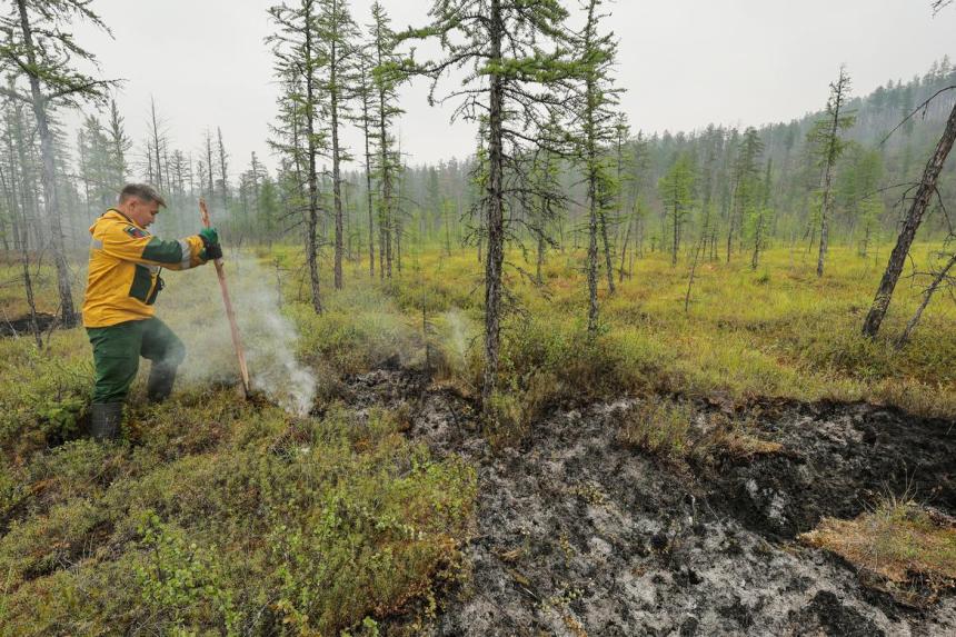 Russia battles forest fires amid another hot summer | The Straits Times