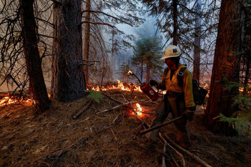 Park Fire grows to California's sixth largest wildfire ever | The ...