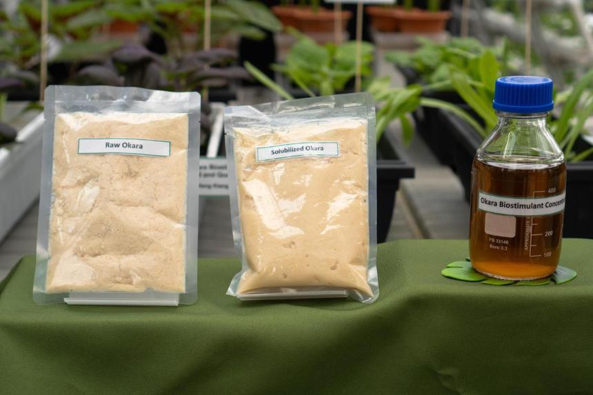 Republic Polytechnic researchers turn soya pulp meant for landfills ...