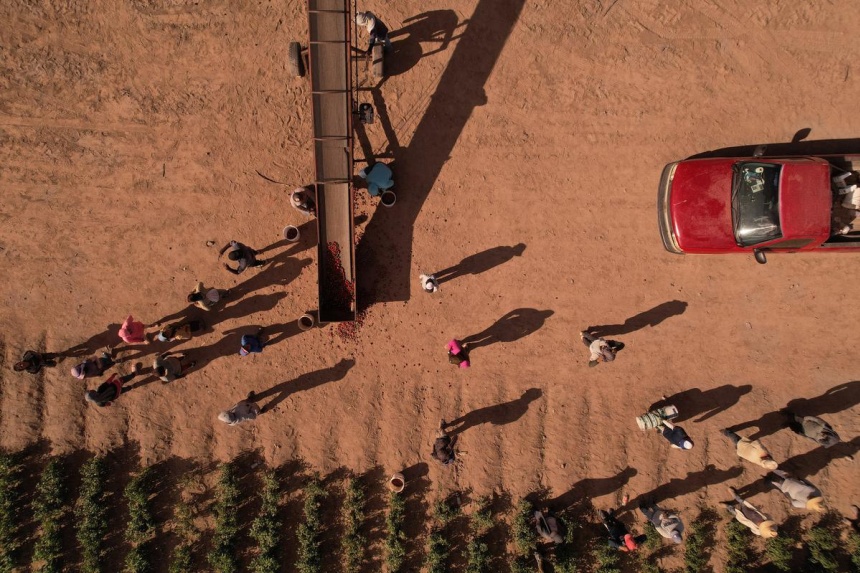 'Nature is punishing us': Drought imperils farmers and bees in Mexico's ...