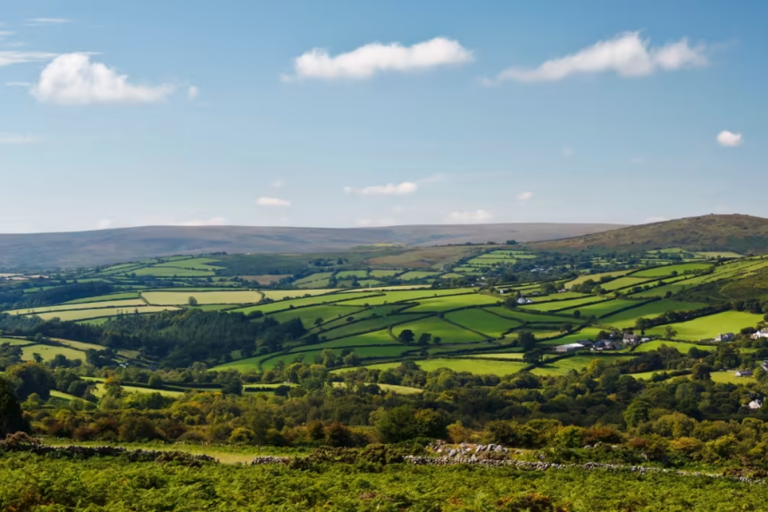 In the English countryside, lessons for a city dweller | The Straits Times