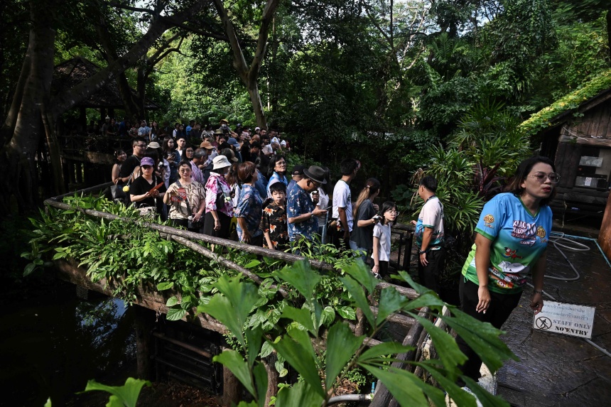 Thai baby hippo internet star Moo Deng draws thousands, overwhelming ...