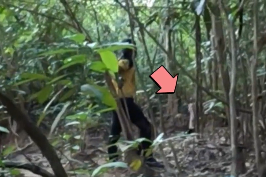 ‘Shaking in fear’: Duo fishing in Johor recall close encounter with ...