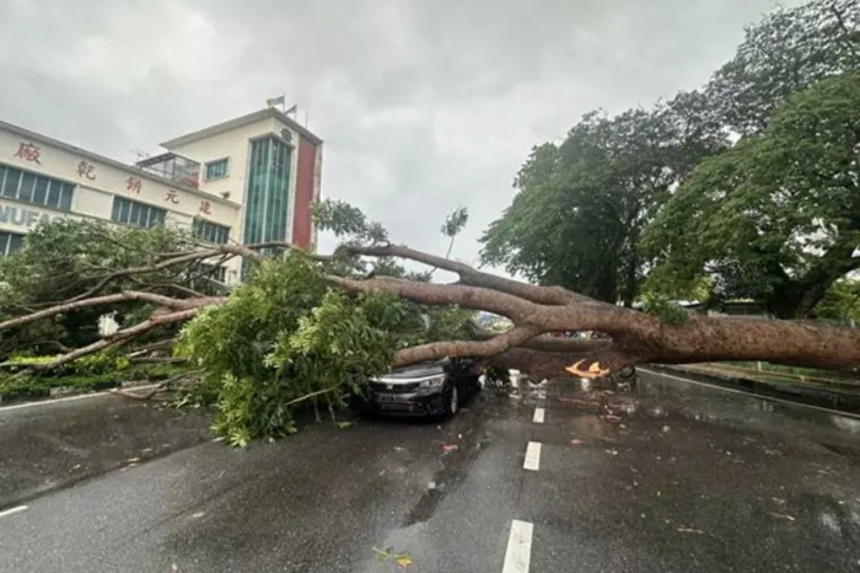 Hundreds of trees down, floods hit 71 locations in storm-lashed Penang ...