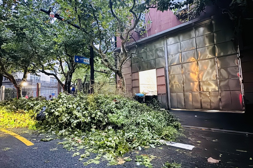 Singaporeans hunker down in Shanghai as Typhoon Bebinca sweeps through ...