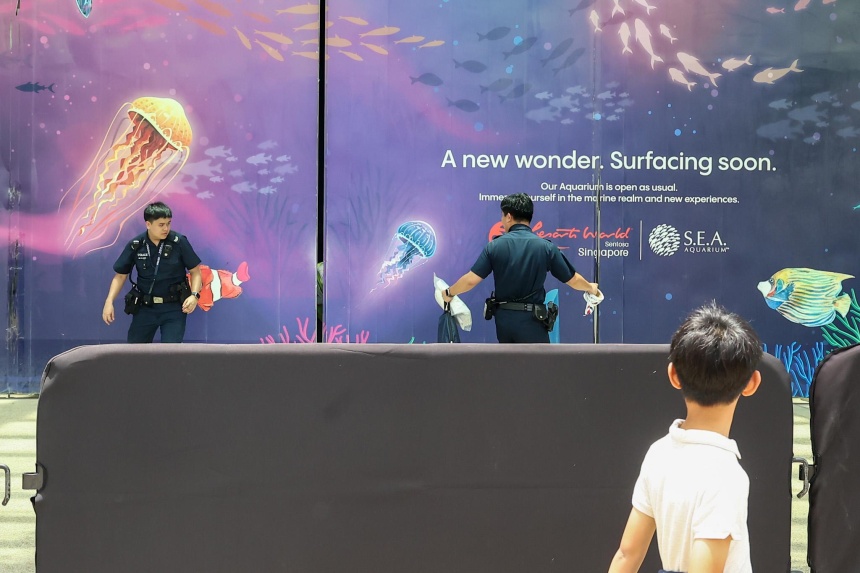 Worker dies in accident at Sentosa worksite | The Straits Times