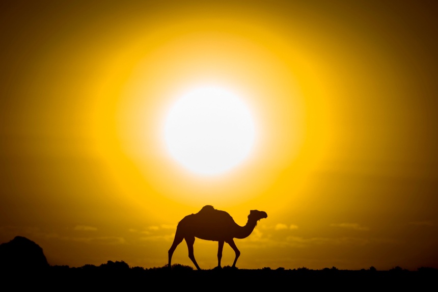 From desert to oasis: Heavy rainfall redraws Sahara’s arid terrain ...