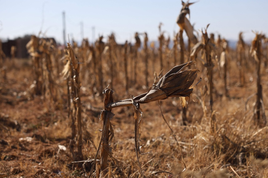Historic southern Africa drought starving millions: UN | The Straits Times