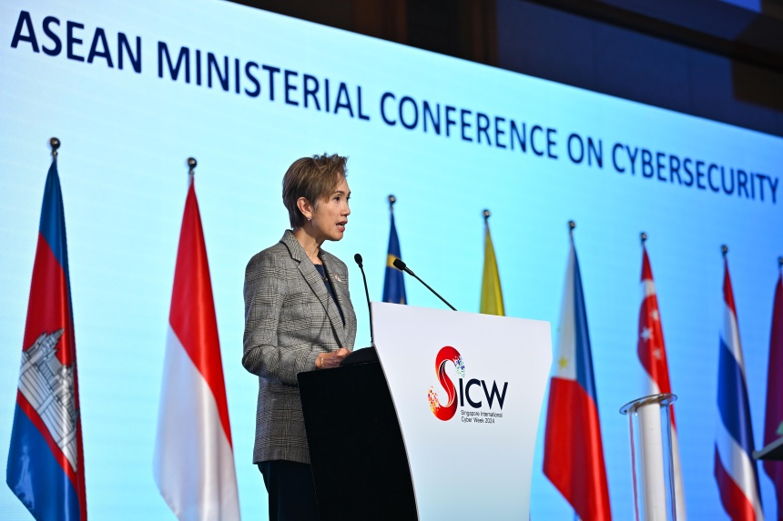 Asean emergency response team comes into force to better combat ...