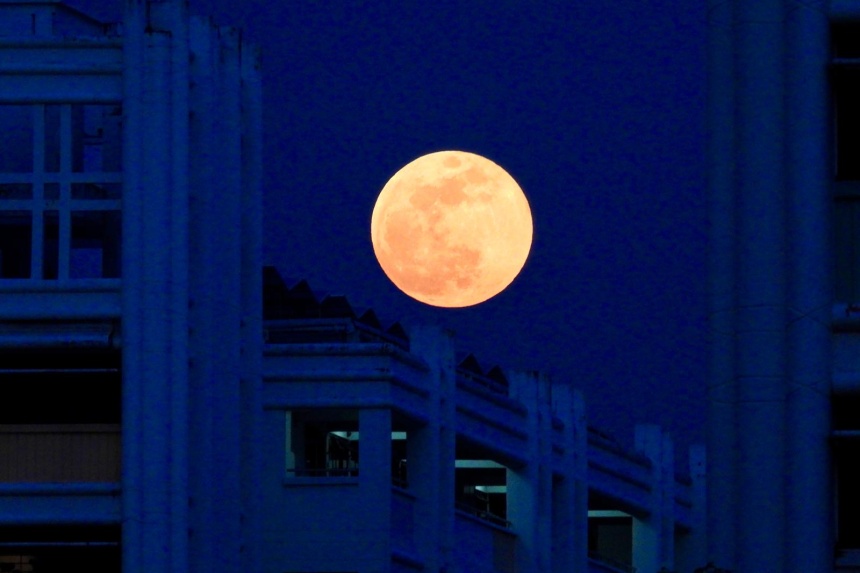 Hunter’s Moon: 2024’s brightest and closest supermoon | The Straits Times