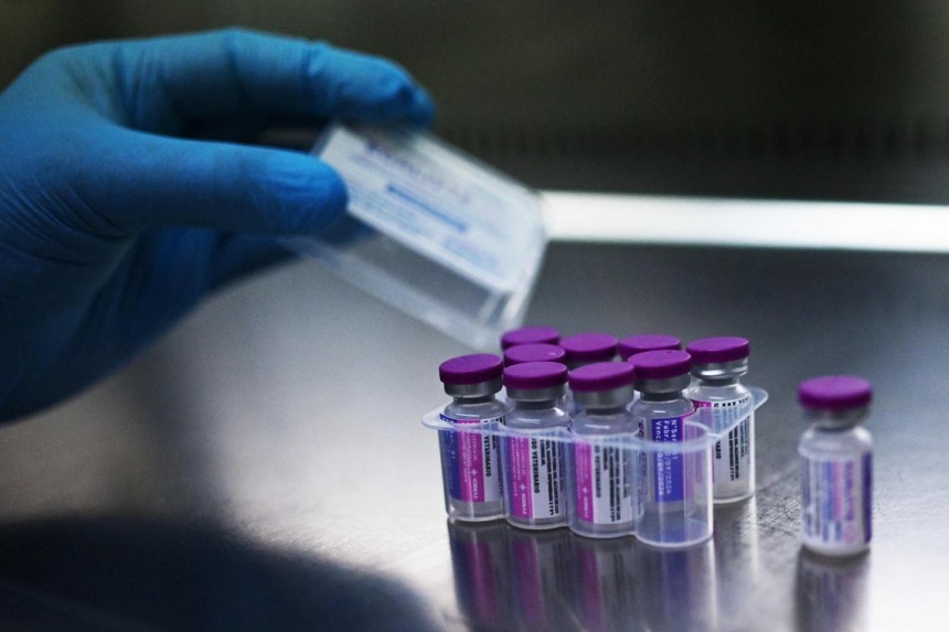 Chile research team launches vaccine that neuters dogs for a year – an ...