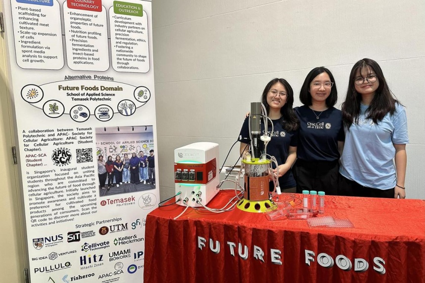 Temasek Polytechnic students get involved in food of the future – cultivated meat | The Straits ...