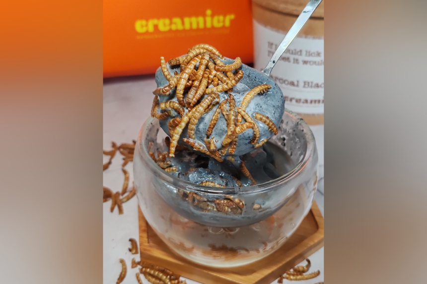 Food Picks: Pair crickets and mealworm toppings with Creamier’s ice ...