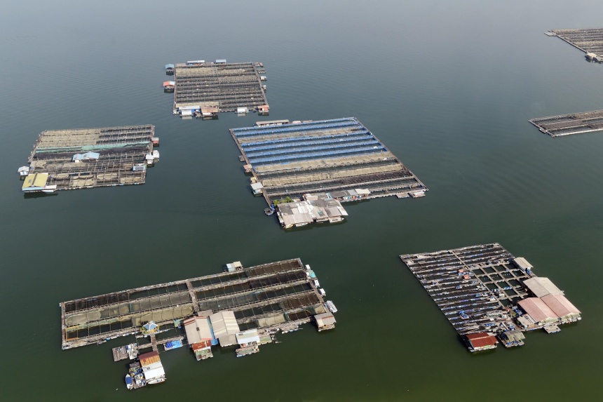 A quarter of fish farms shut down in past year, some of which took up ...