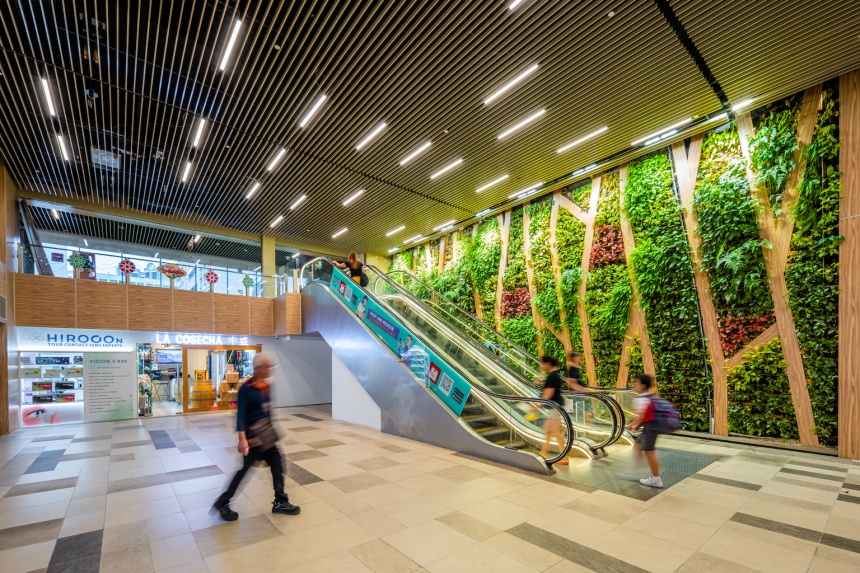 Communal verandahs, roof gardens and revamped town centre: How ...