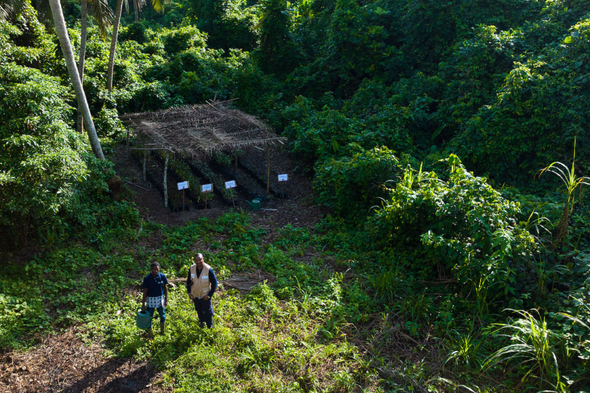 Braving the earth’s extremes: How explorers unravel climate mysteries to help save the planet ...