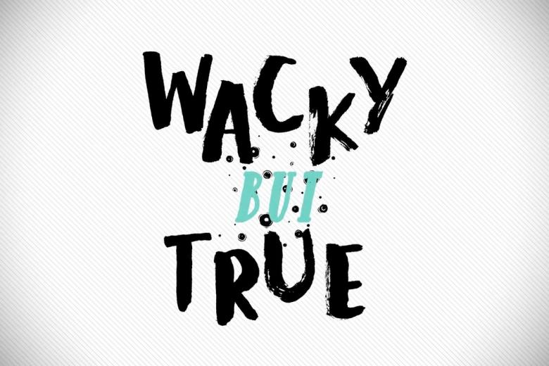 Wacky But True! Exploring the human body | The Straits Times