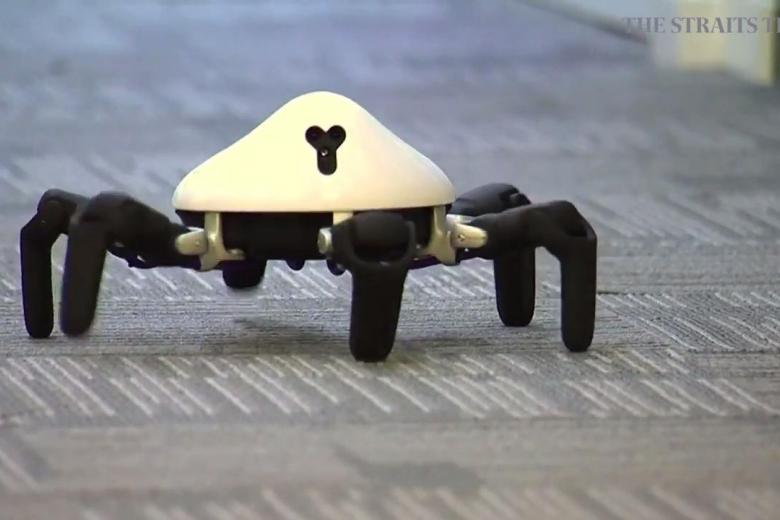 Insect robot that brings robotics to the amateur | The Straits Times