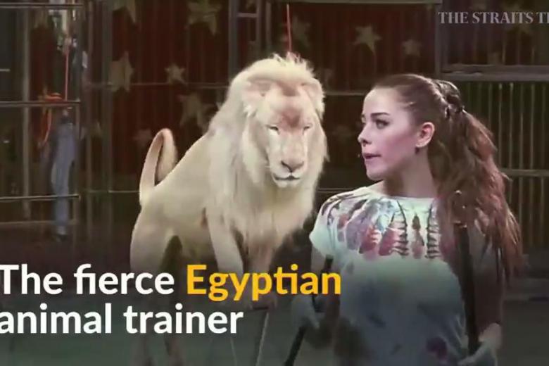 Meet Egypt's female wild animal trainer | The Straits Times