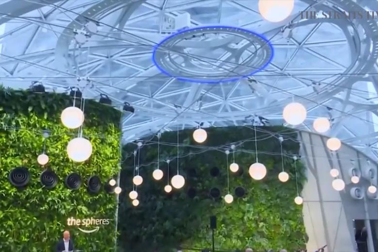 Amazon.com opens its own rainforest in Seattle | The Straits Times
