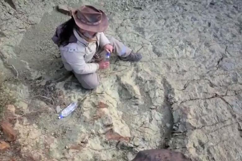 Large dinosaur print found in Bolivia | The Straits Times