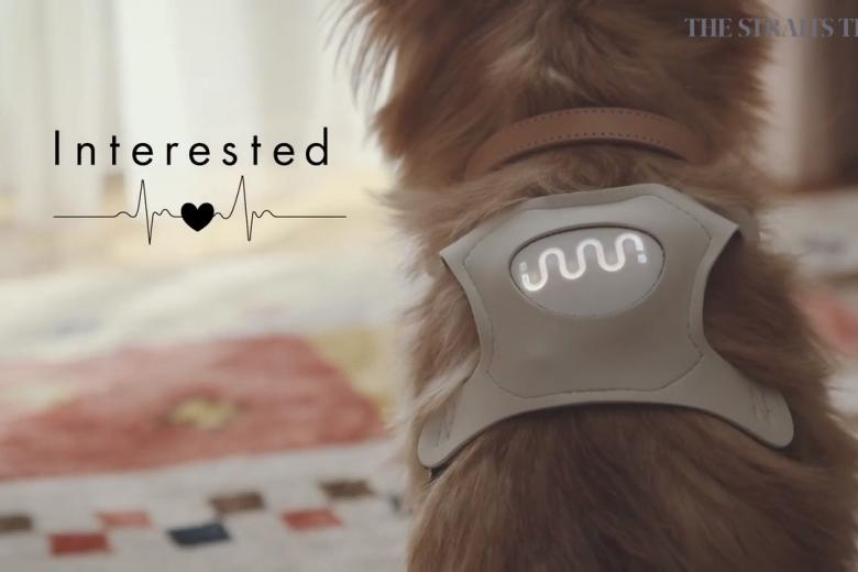 Quirky tech products at CES 2020 | The Straits Times